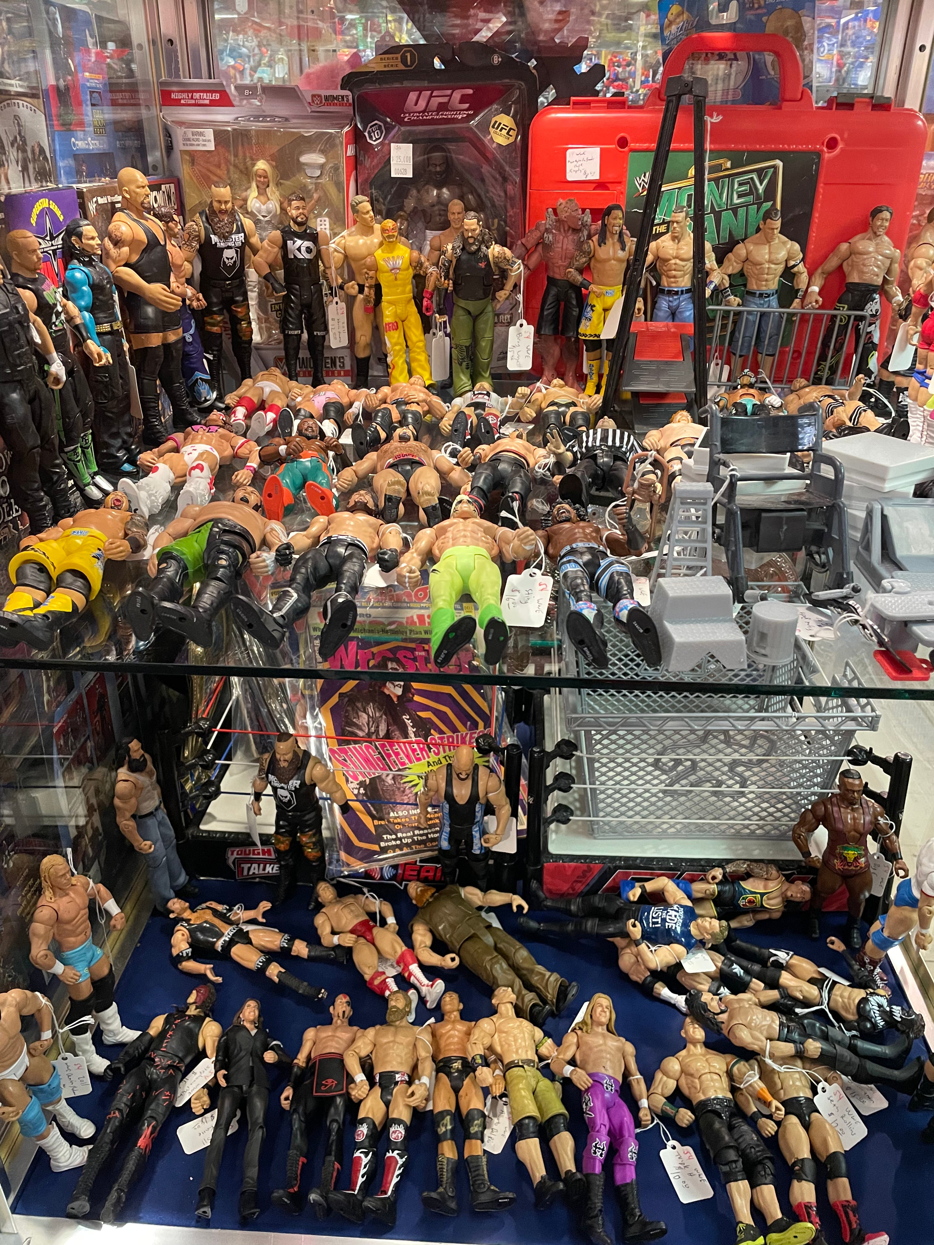WWE – Bird n’ Squirrel