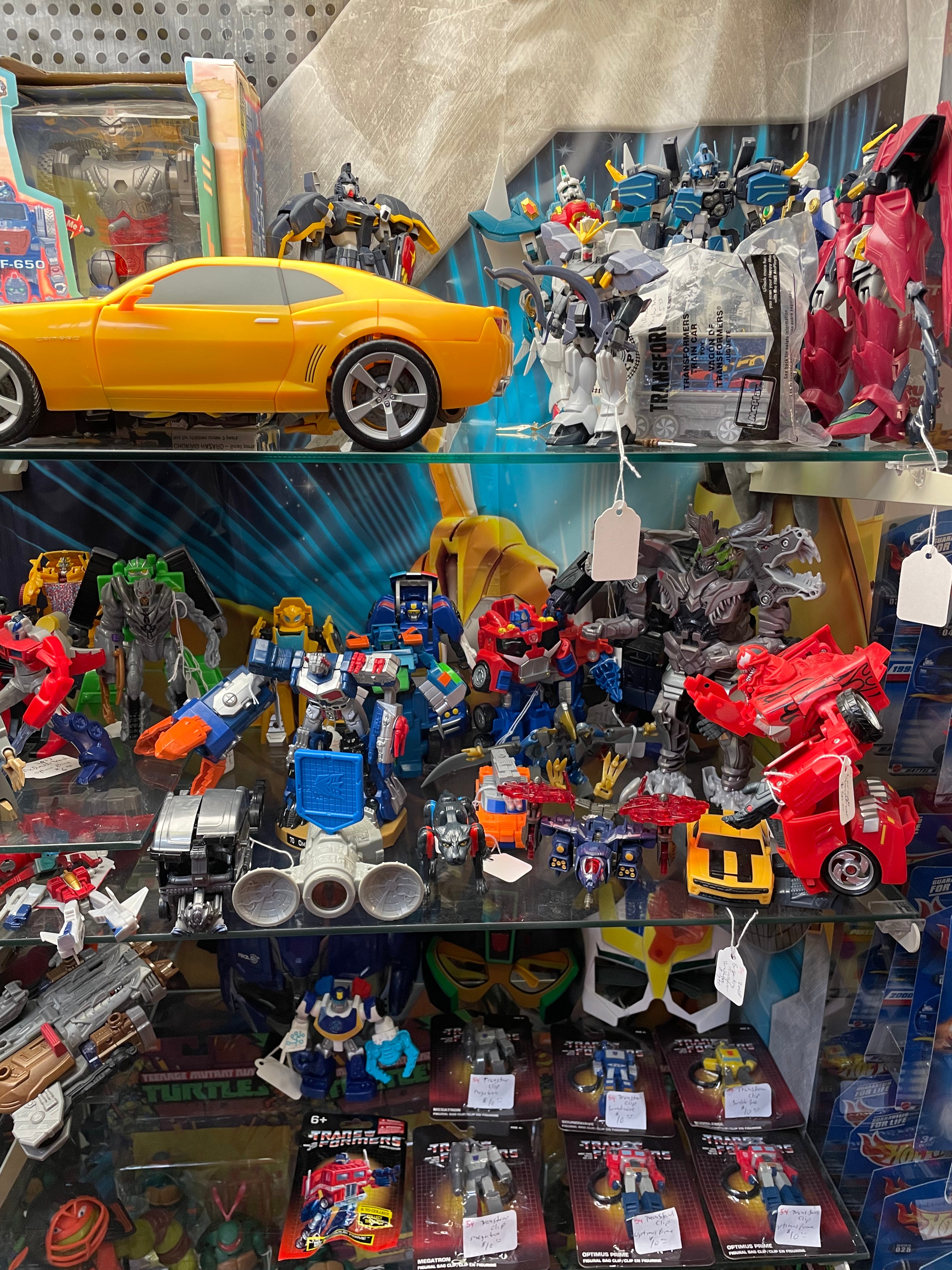 Transformers – Bird n’ Squirrel