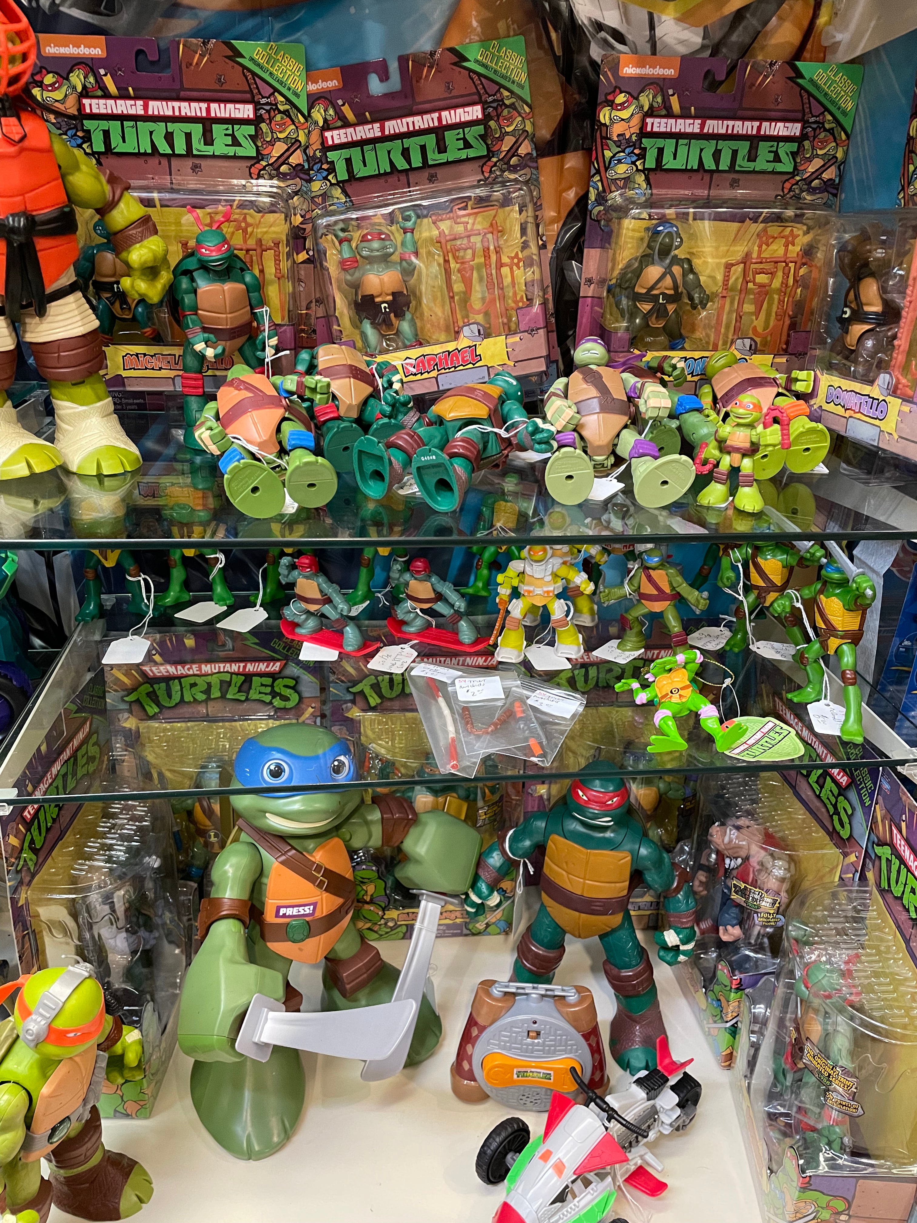 TMNT – Bird n’ Squirrel