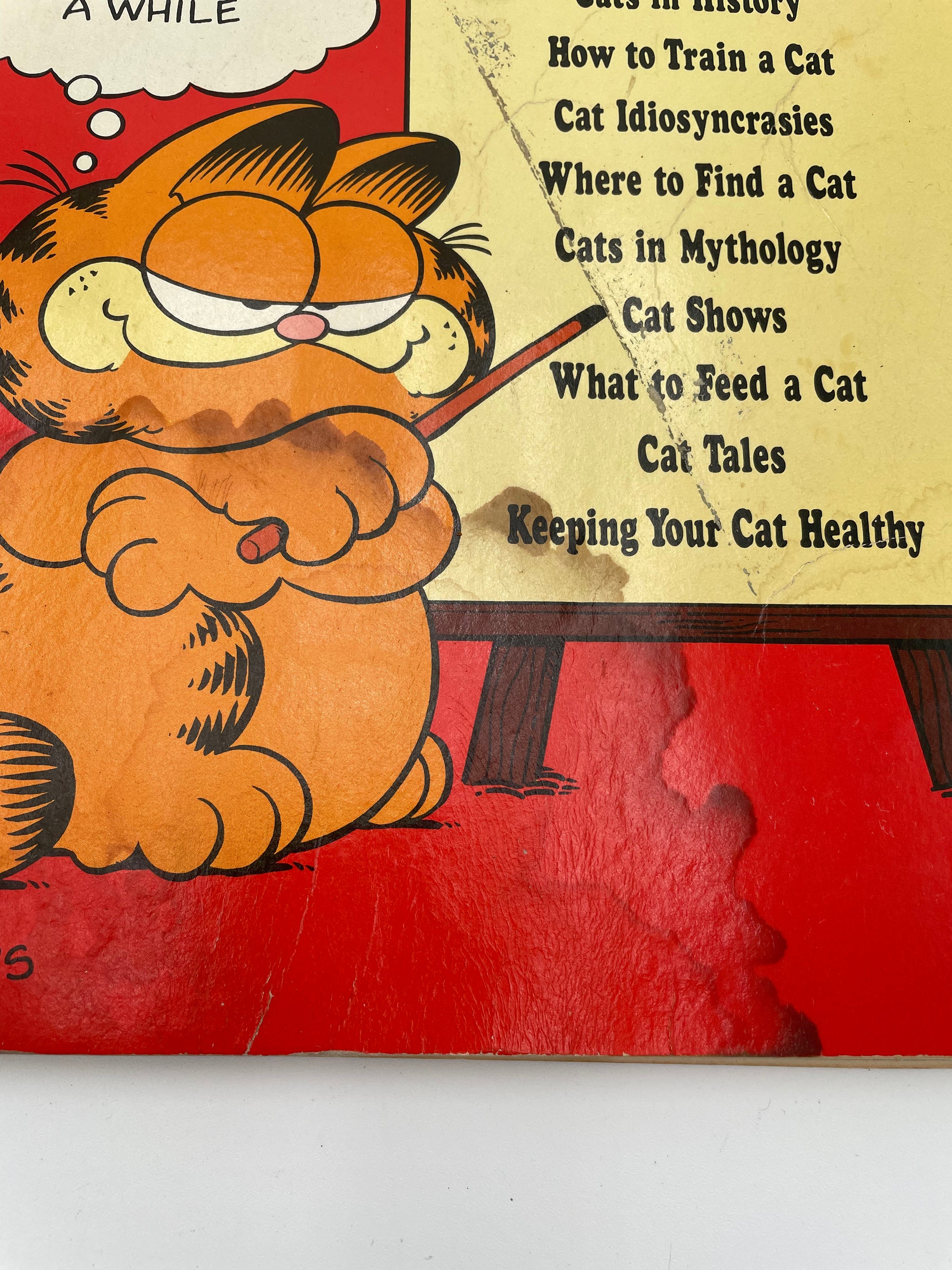 Garfield, The Complete Cat Book 1981 - #101992 – Bird n’ Squirrel